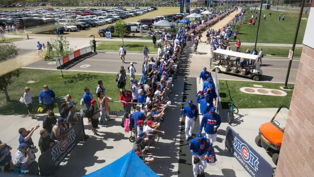 Insider's Guide, Tips, and Tricks to Chicago Cubs Spring Training