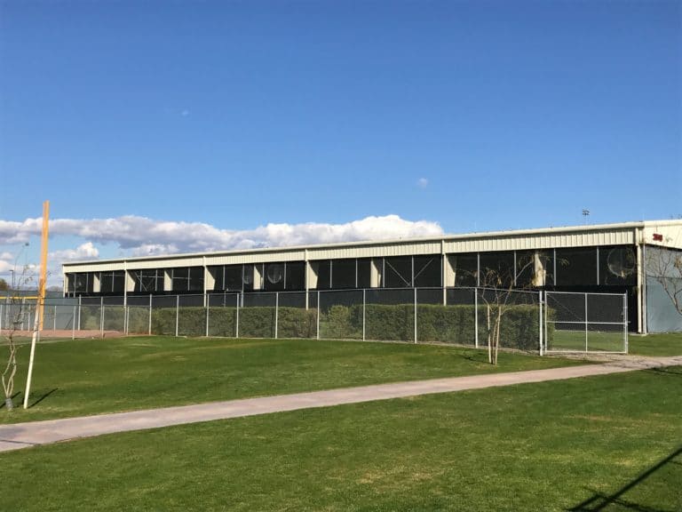 Insider's Guide, Tips, and Tricks to Chicago Cubs Spring Training